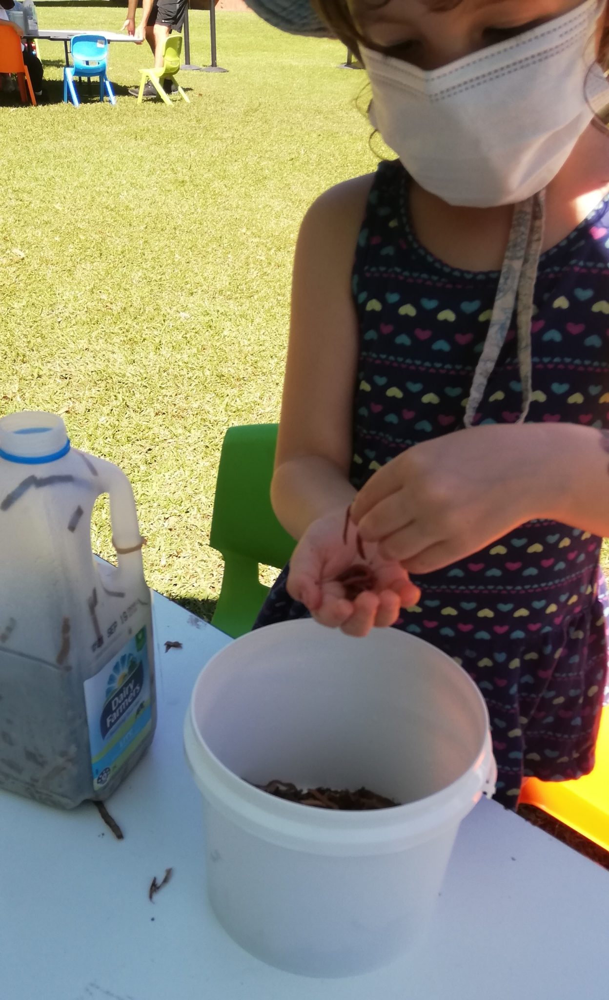 Incursions & Activities – Fun & Educational Environmental Activities ...